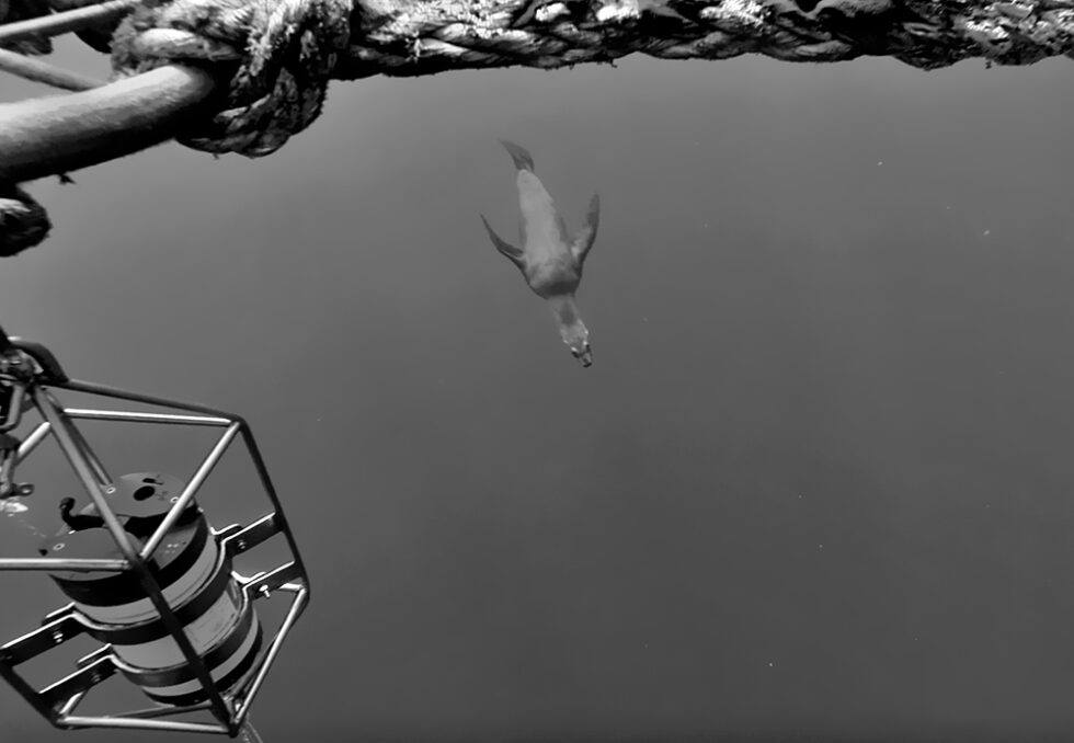 Deployment Solutions for Teledyne ADCPs