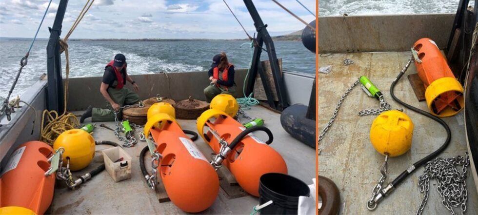 Mooring Matters: StableMoor® Buoys in the Bay of Fundy - DeepWater Buoyancy